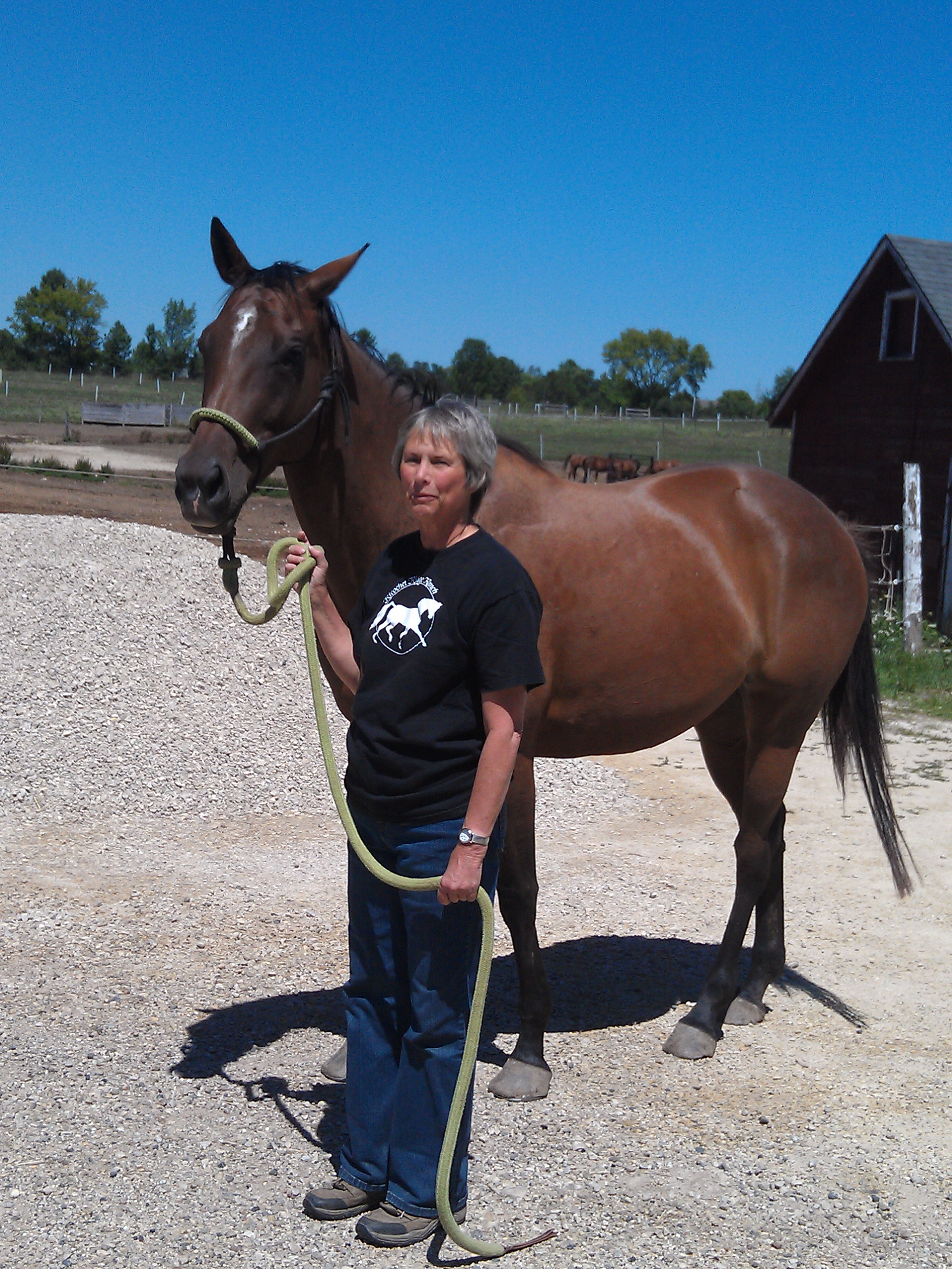 Lakefield Farm - Testimonials